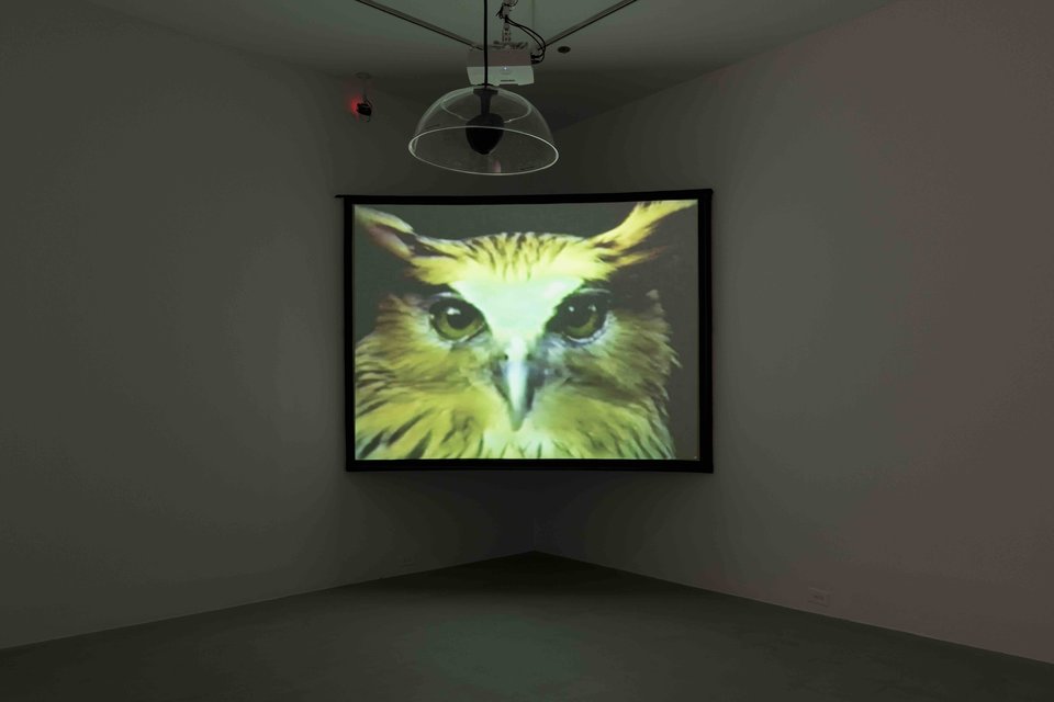 Seasonal Affective – 80WSE Gallery